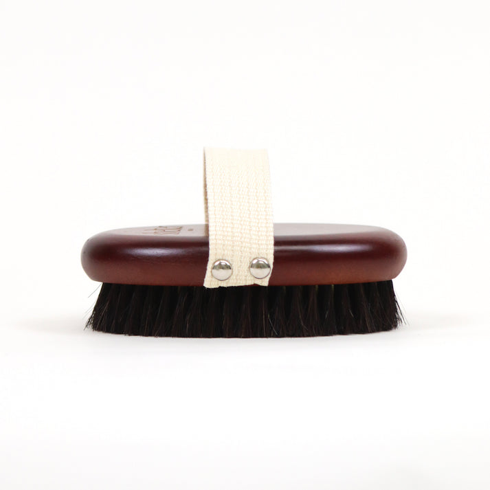 Sculpting Copper Dry Brush – Shelter Skin